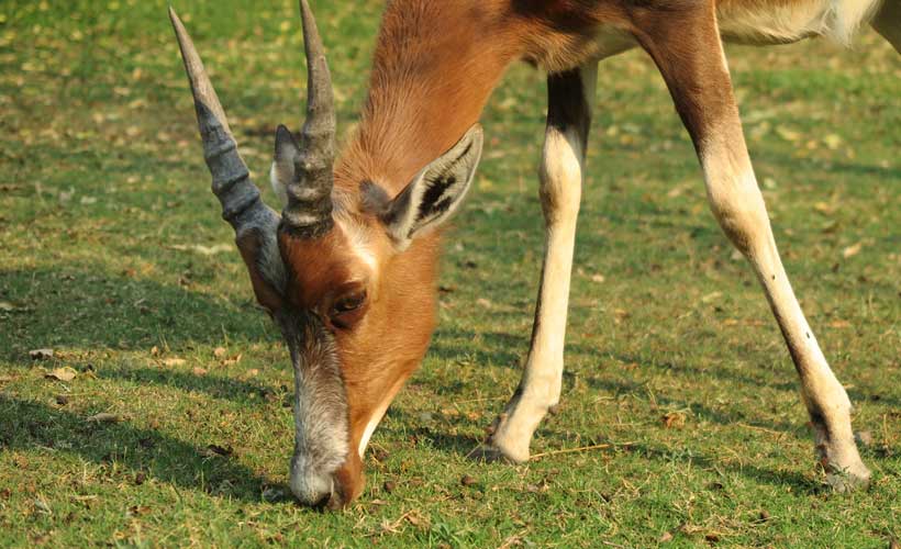 Blue Dot Travel - Travel Blog - A place to inspire you to travel